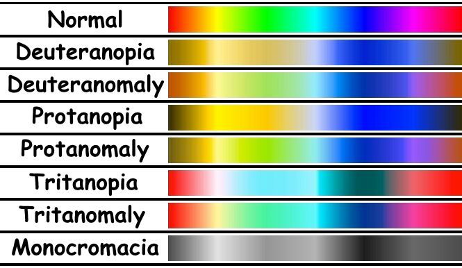 The Pride Flag according to different types of Color Blindness : r ...